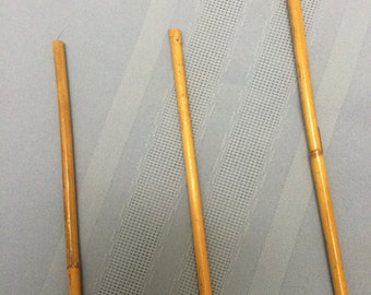 Popular items for discipline cane on Etsy
