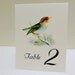 Bird table numbers Bird table tent cards Wedding by LeafDecor