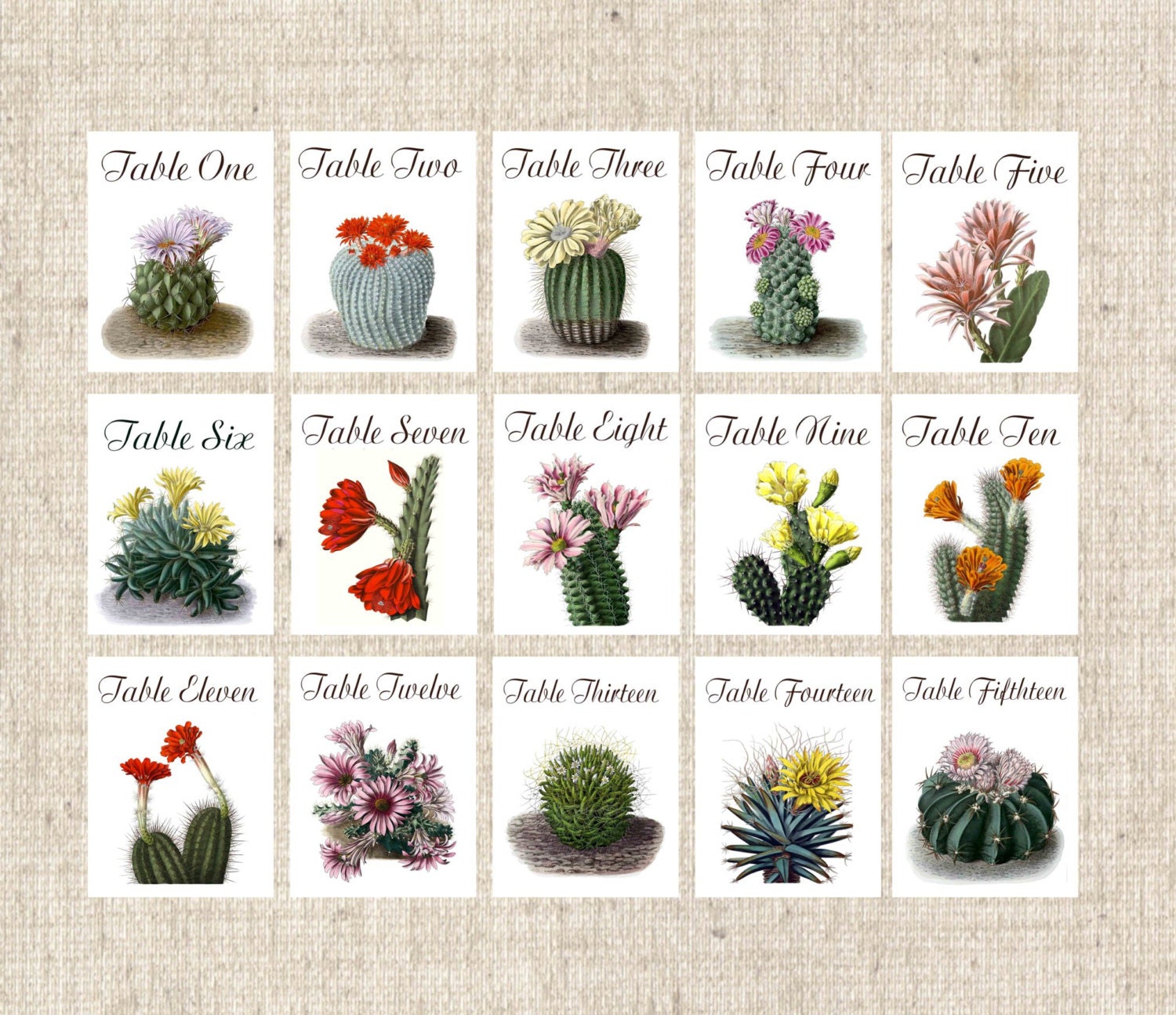 Cactus Table Numbers Desert Table Tents Cactus Table Cards
