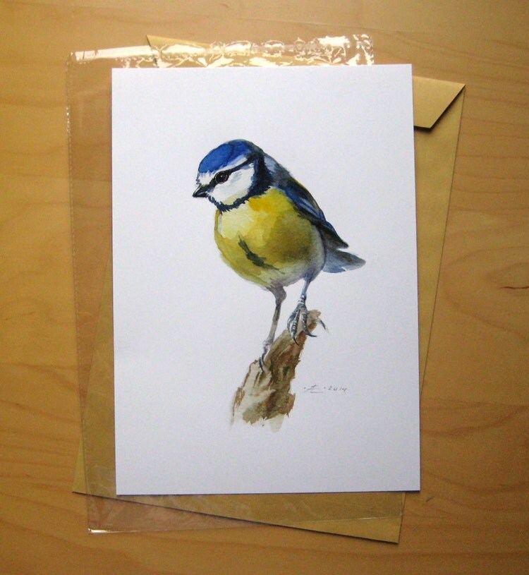 Blue Bird print watercolor bird Blue Tit by VerbruggeWatercolor