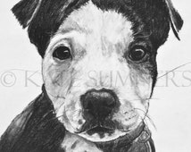 Unique pitties related items | Etsy