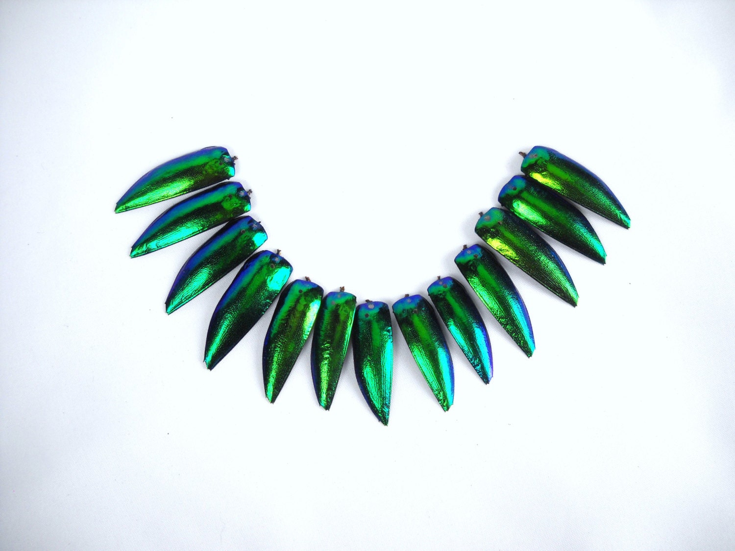 Multipack DRILLED 1.25 Elytra Beetle Wings GREEN TONE