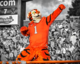 Clemson mascot | Etsy
