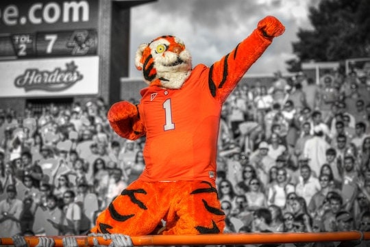 Clemson Tiger Mascot Black & White/ Orange Accent Print