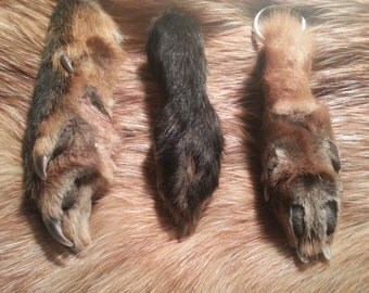 Popular items for fox paws on Etsy