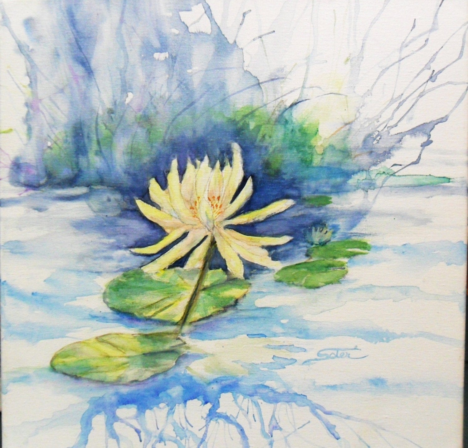 Water lily watercolor painting original watercolor on