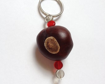 Ohio State Buckeyes Necklace Real Buckeyes