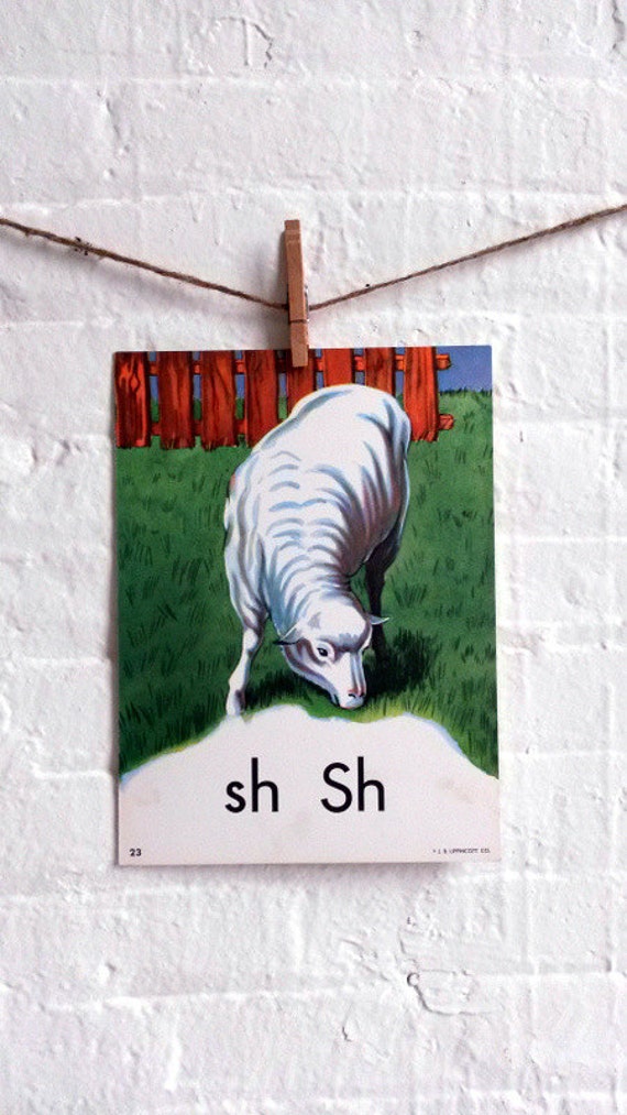 Vintage Large Flashcard Sh if for Sheep Picture Flashcard