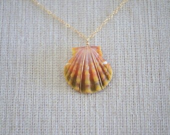 Sunrise Shell Necklace, Gold Filled Chain