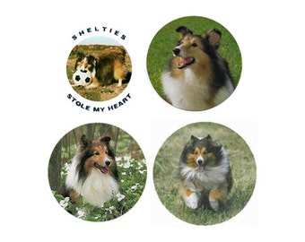 Sheltie gifts | Etsy