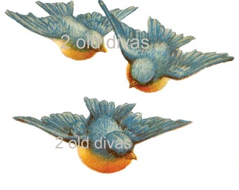 Vintage bird clipart | Etsy