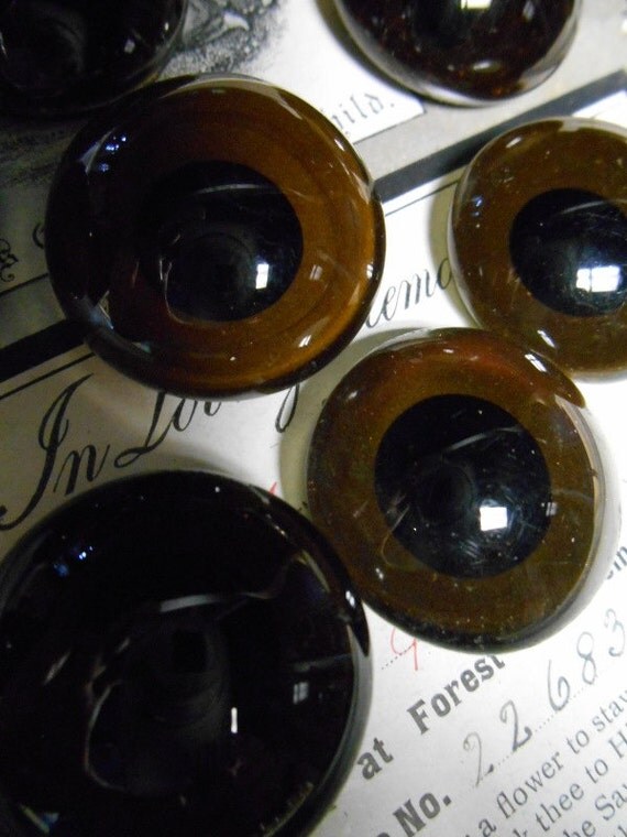 Spooky Taxidermy Glass Eyes Large Vintage Eyes Priced Each At