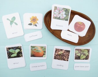 Popular items for montessori cards on Etsy