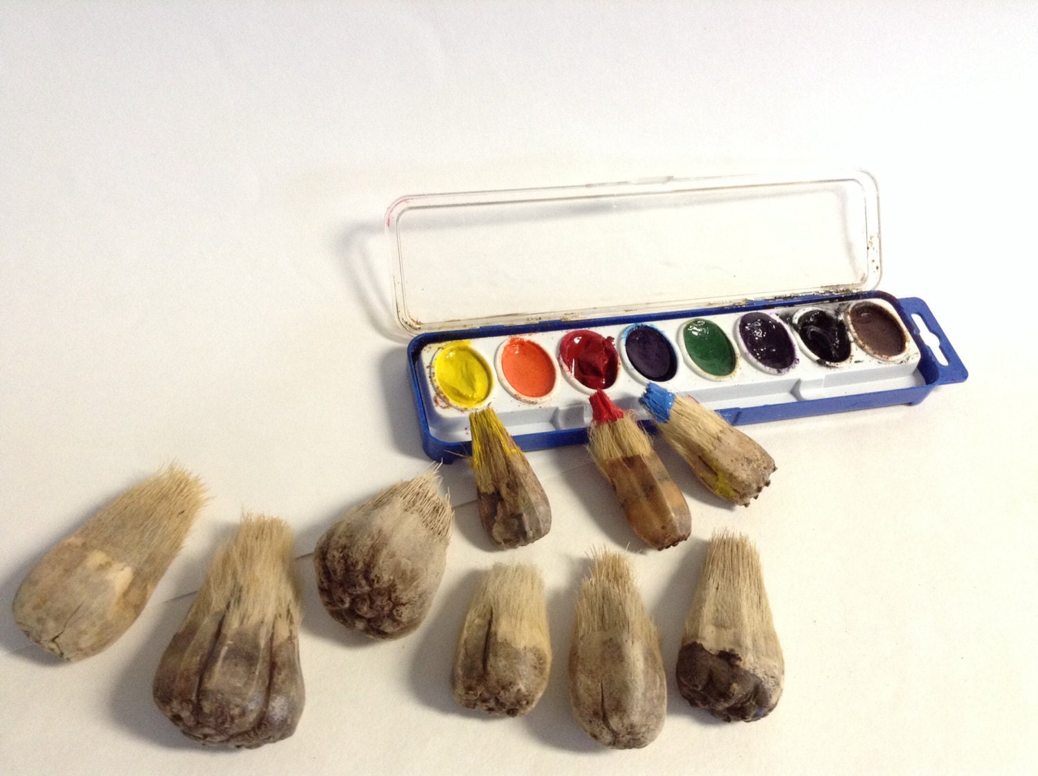 What Are Natural Paint Brushes Made Of at Jerry Rounds blog