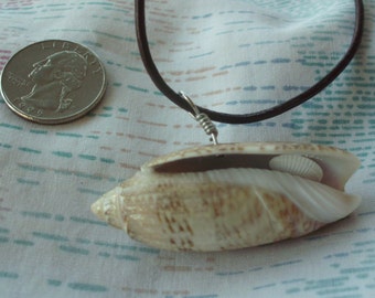 Lettered olive | Etsy