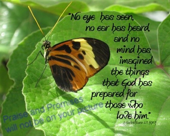 No eye has seen Butterfly Scripture Art 1 Corinthians 2:9