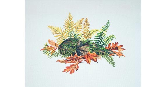 Botanical Needlepoint Needlepoint Designs Needlepoint