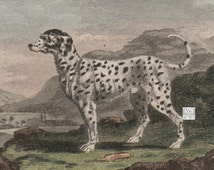 Popular items for antique dog prints on Etsy