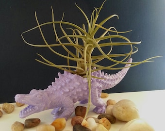 Popular items for alligator planter on Etsy