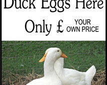 Popular items for eggs for sale sign on Etsy