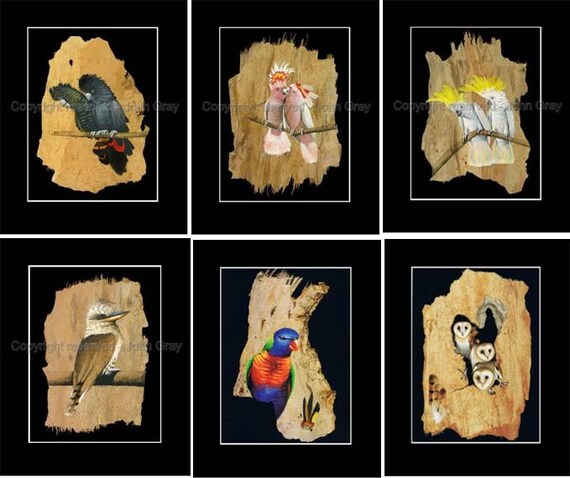 Set of 6 Stunning Bark Art Prints Wildlife Paperbark