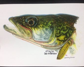 Walleye | Etsy