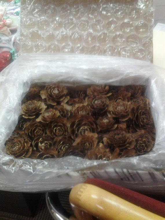 25 Cedar Roses Wooden Roses Deodar Cedar Pine Cone