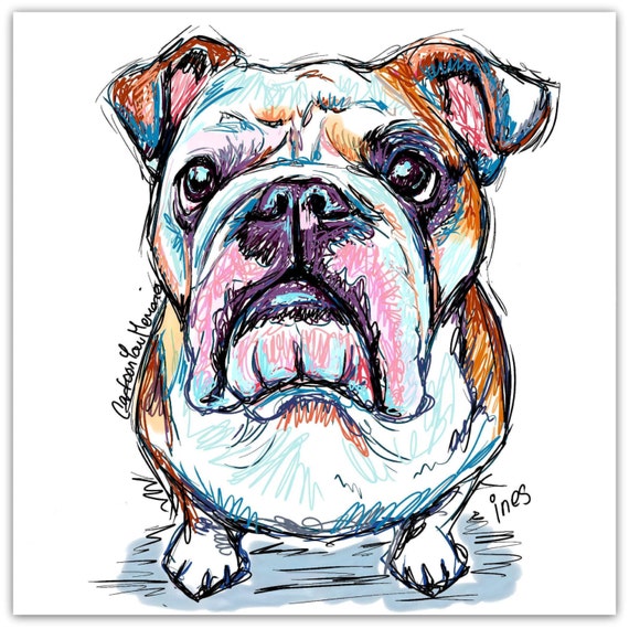 Bulldog doodle