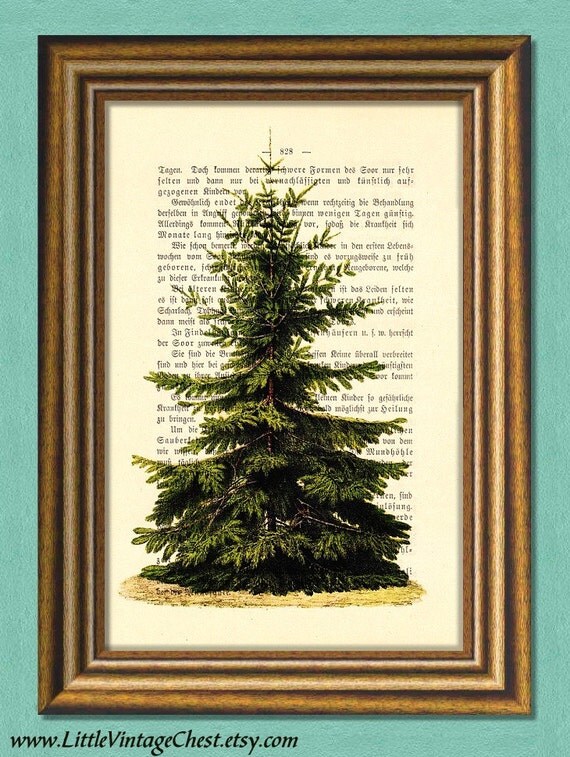 EVERGREEN TREE Fir Tree Dictionary Art by littlevintagechest
