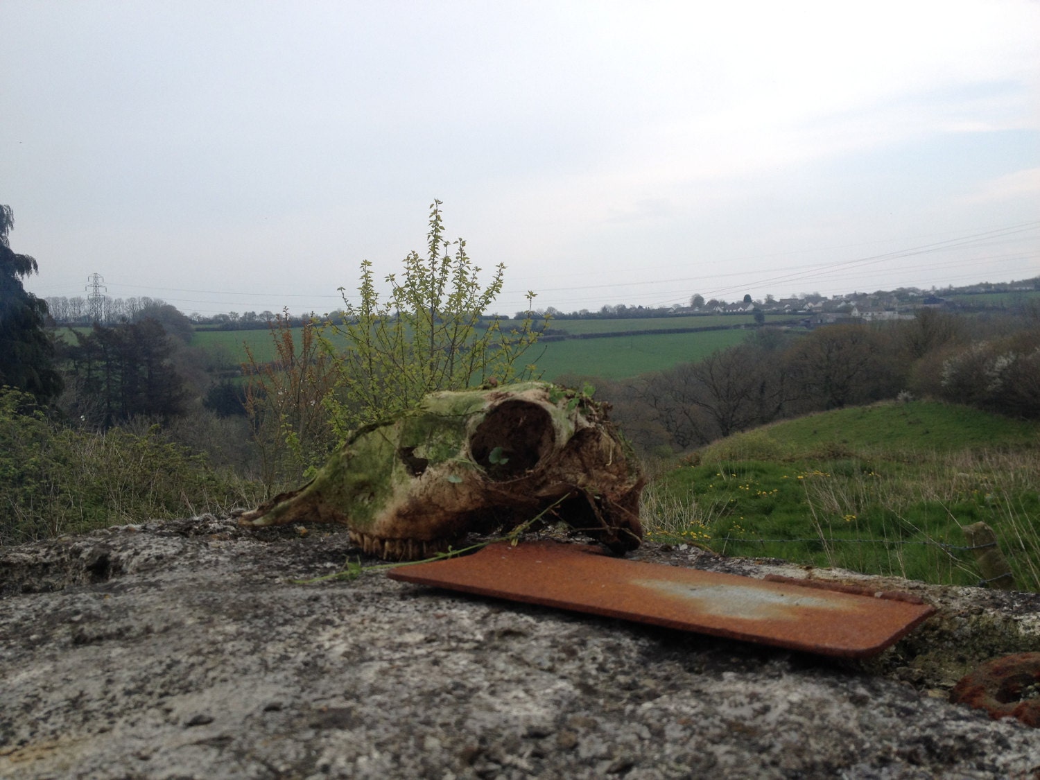 Tyddyn Bryn by TyddynBryn on Etsy