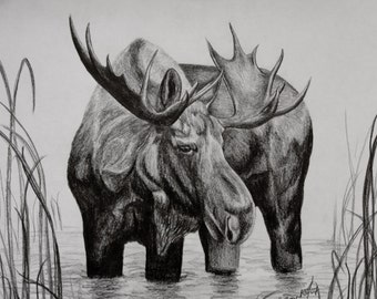 Popular items for bull moose on Etsy