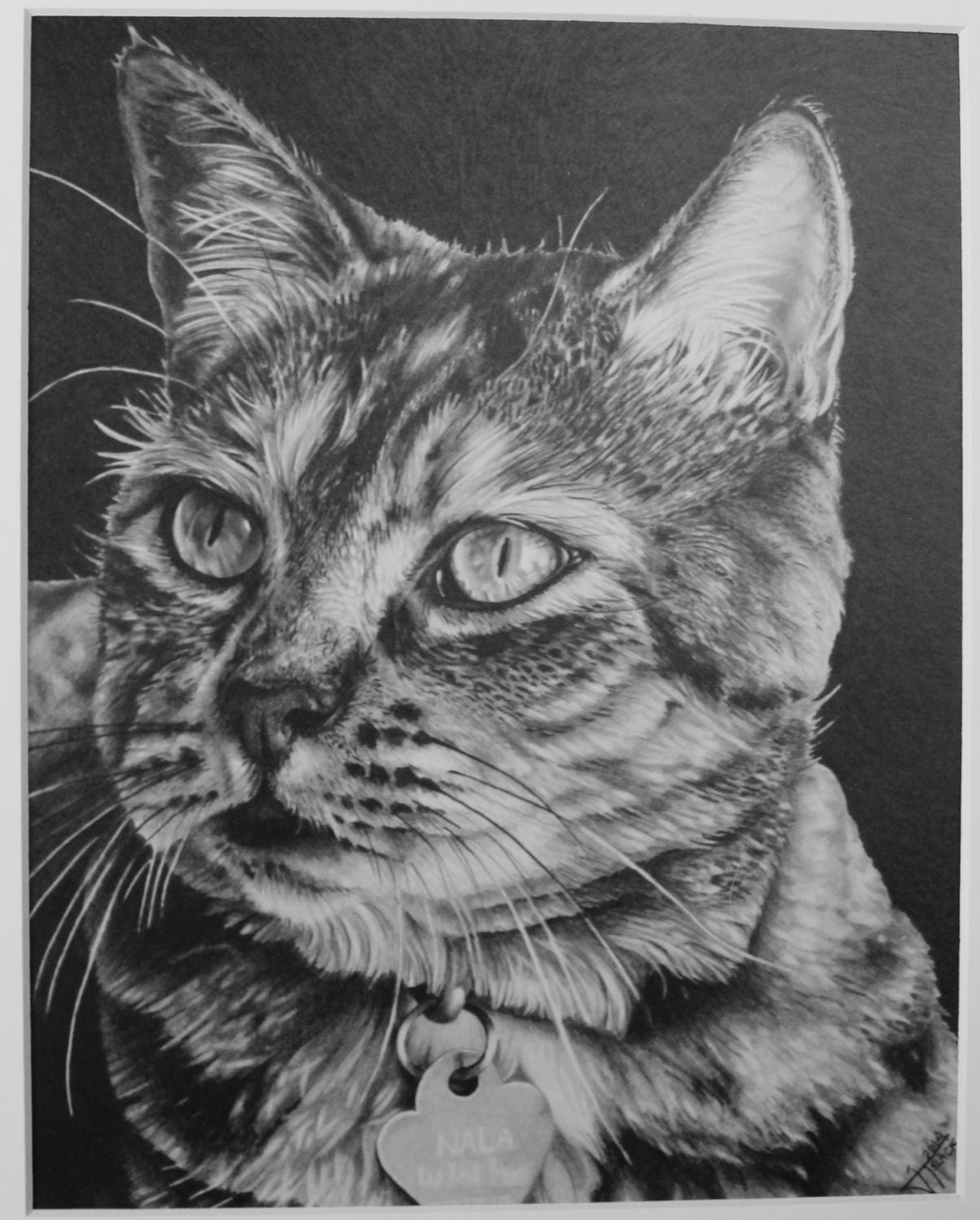 Digital Print of Graphite Cat Drawing