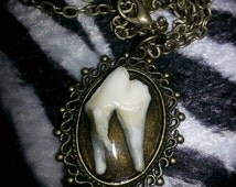 Popular items for dog tooth necklace on Etsy