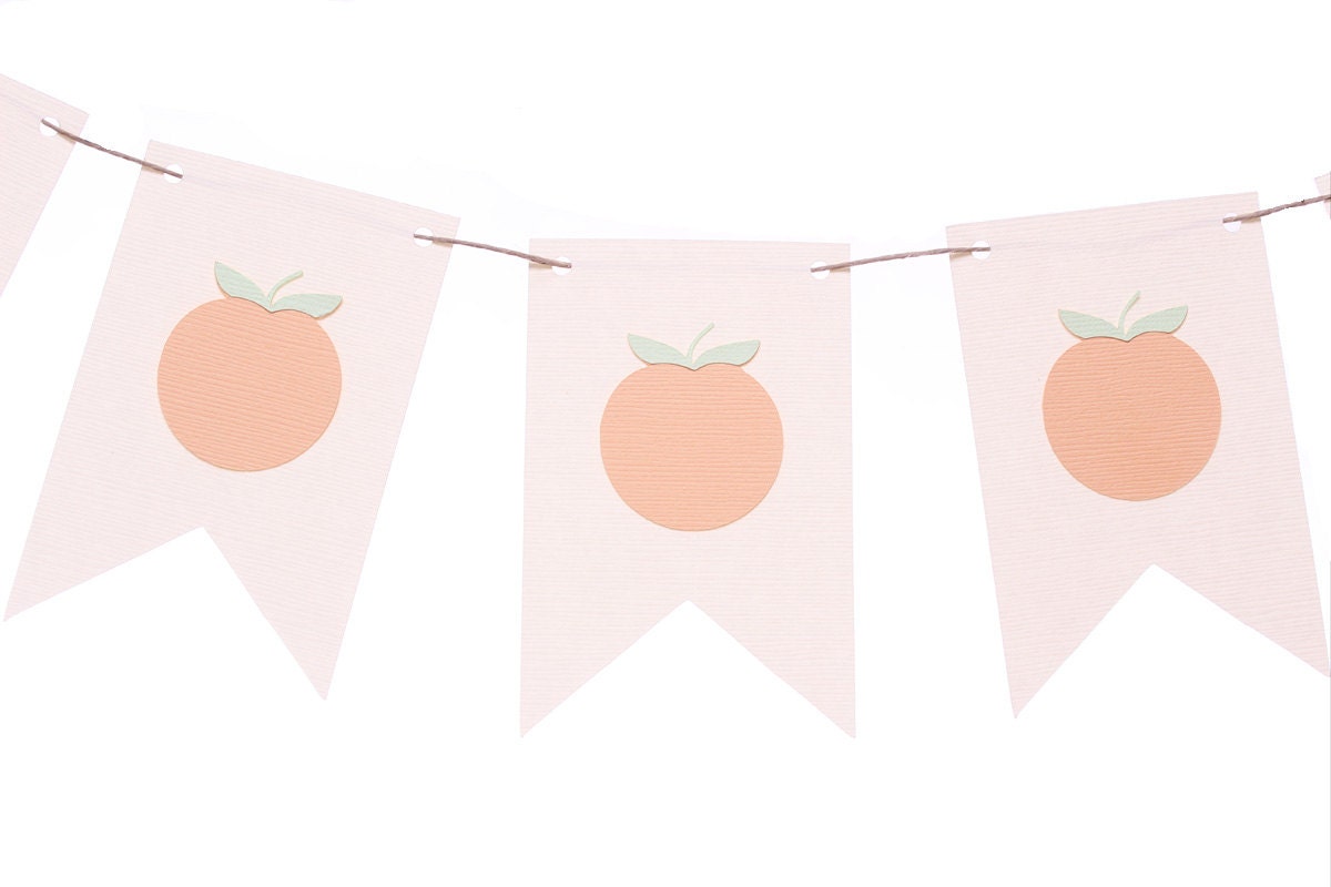Georgia Peach Flag Banner / Peach Garland