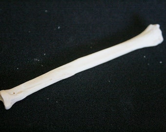 Popular items for bone craft on Etsy