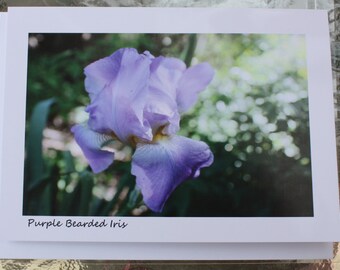 Iris card | Etsy