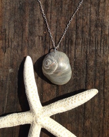 Moon Snail Shell Necklace, Sea Shell Jewelry, Sea Shell Art