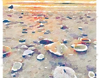 Popular items for shells watercolor on Etsy