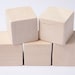 Unfinished baby age blocks photo blocks photo prop month
