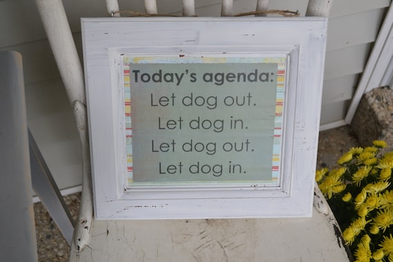Today's agenda: Let dogs out. Let dogs in. Let dogs out.