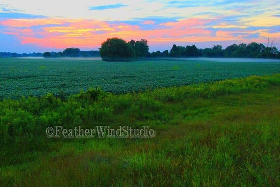 Dawn Sunrise | Morning Fog Country Landscape Photography | Haze Mist ...