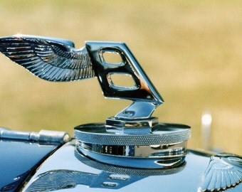 Car hood ornament | Etsy