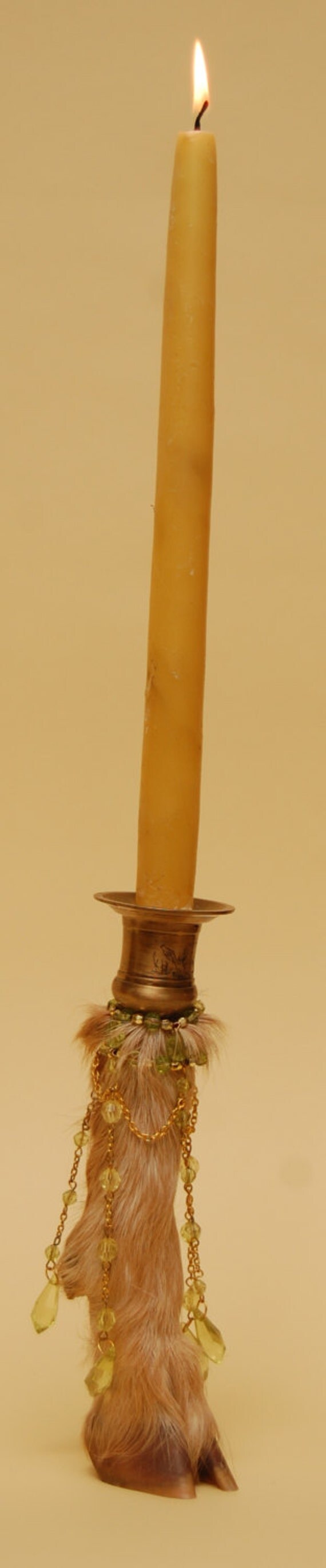 Taxidermy Sheep Hoof Rabbit Gypsy Candle Holder by bethandbeverly