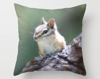 Squirrel pillow | Etsy