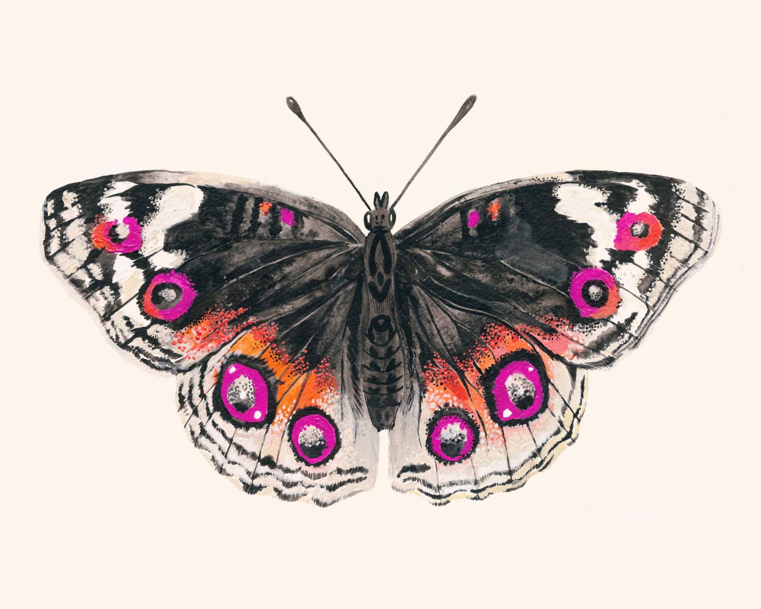Butterfly Art Print Butterfly Wall Art Giclee Print Pink Orange 