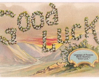 Popular items for good luck postcard on Etsy