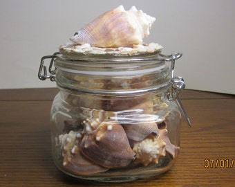 Popular items for seashells in jar on Etsy