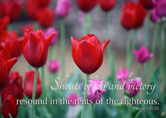 Items similar to Photo of tulips with joyful Bible verse 8x10 mounted ...