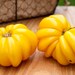 Yellow Ruffles Pleated Stuffing Heirloom Tomato by SherwoodsSeeds