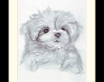 Custom pet drawing | Etsy